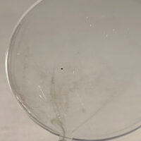 The Most Common Injection Molding Defects: Causes & Solutions